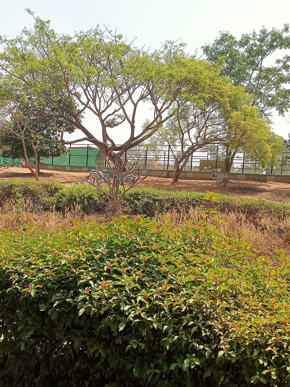 Three Things That Hinder Your Growth | by Ayesha | Write A Catalyst ...