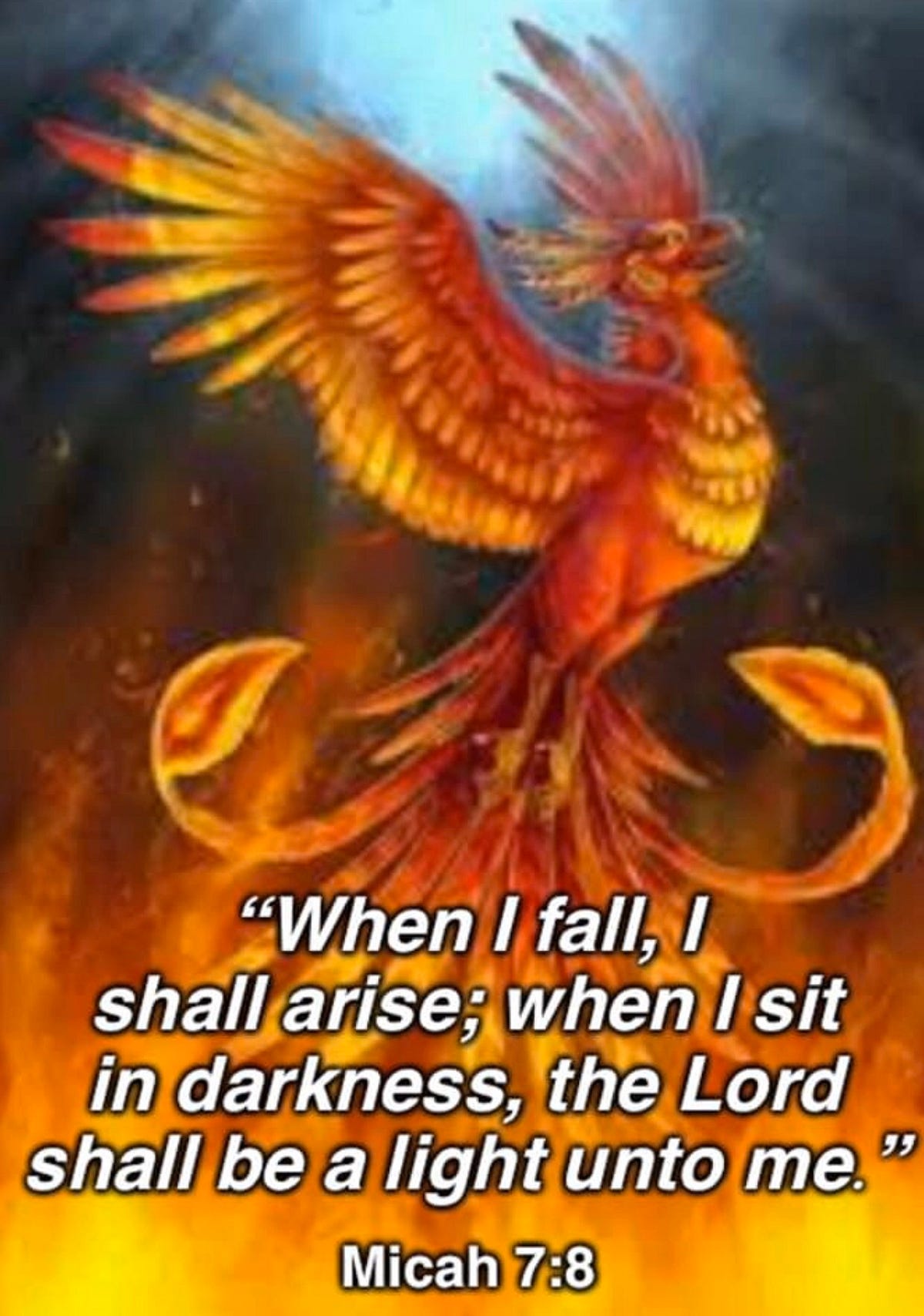 “When I fall, I shall arise; when I sit in darkness, the Lord shall be ...