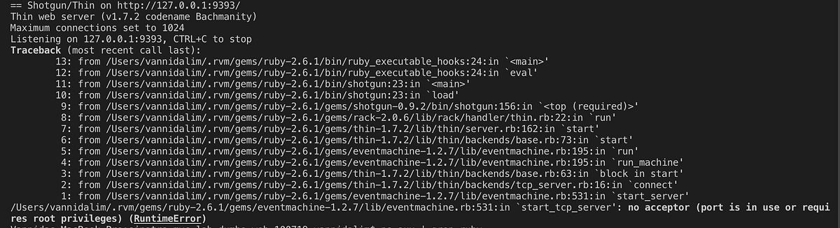 Ruby’s Shotgun Runtime Error. Have you ever tried running shotgun… | by ...
