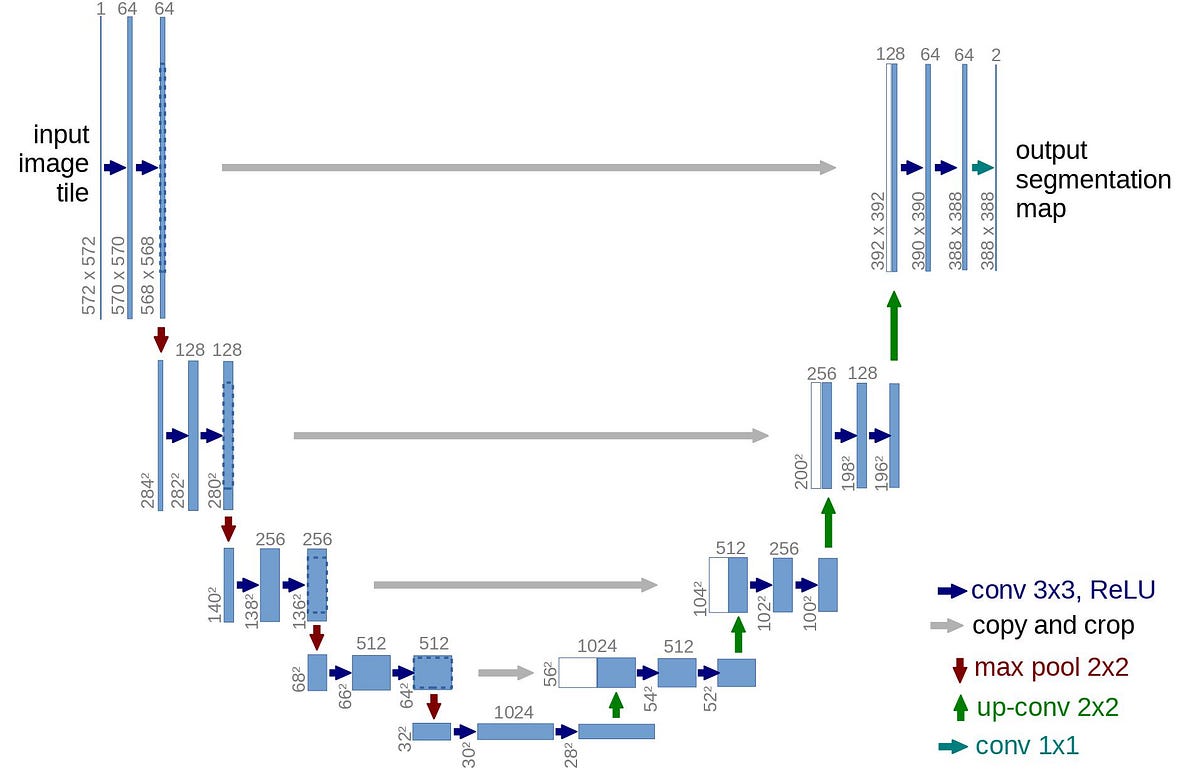 Diffusion Models from Scratch in PyTorch | by Shubham Kumar Singh | Medium