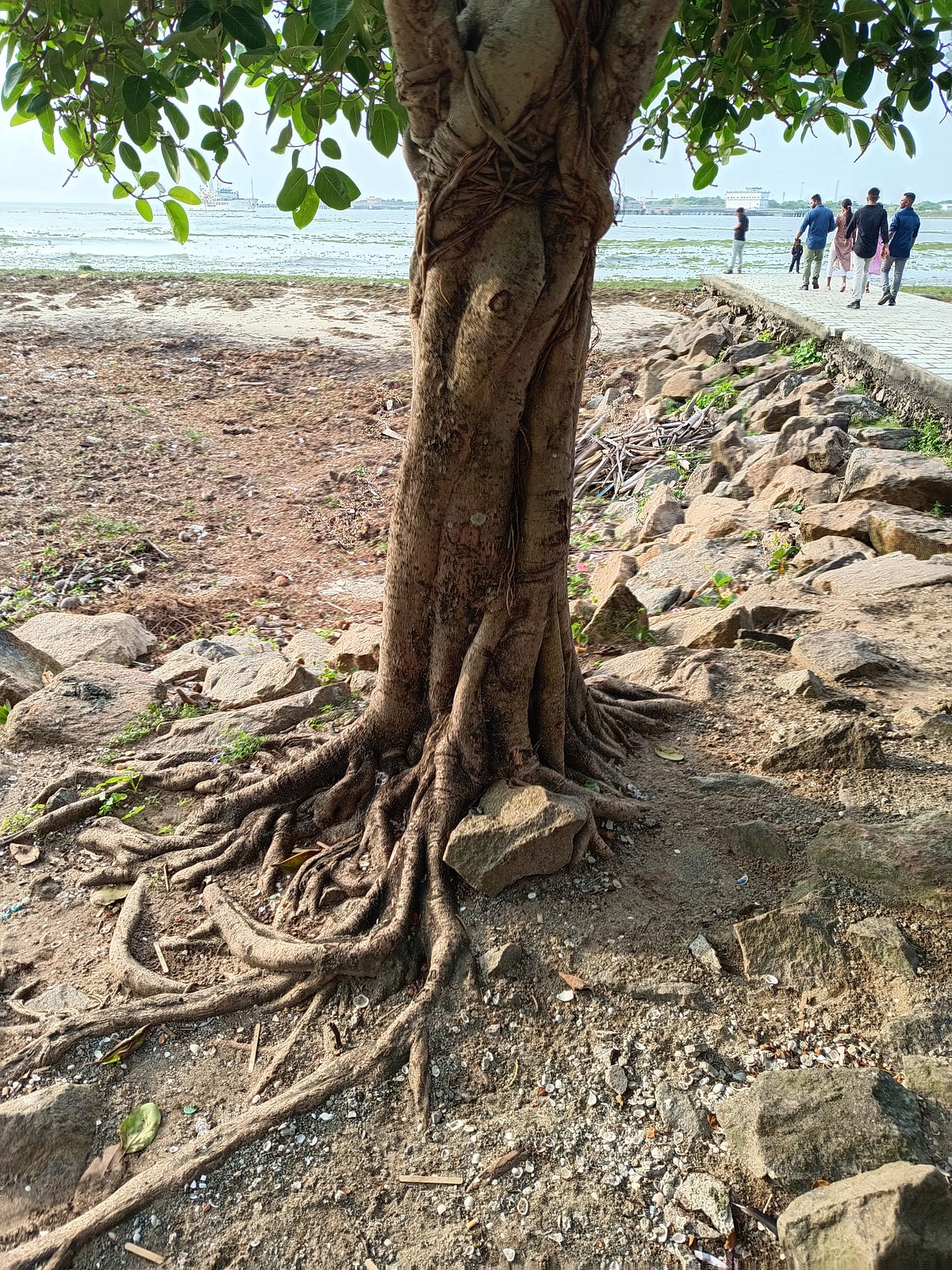 My Kochi Adventure: Culture, Dance, and Stories Brought to Life | by ...