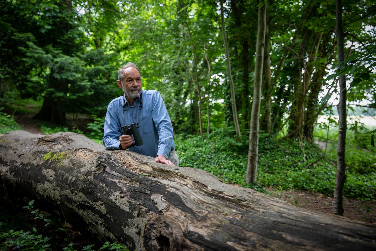 The conservationist helping us to make better decisions | by University ...