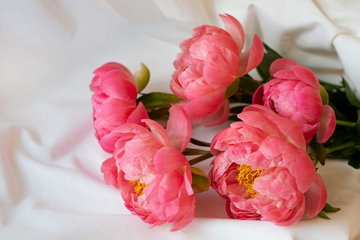 Mourning Tribute — A Conversation with a Departed Soul | by Uma Murali ...