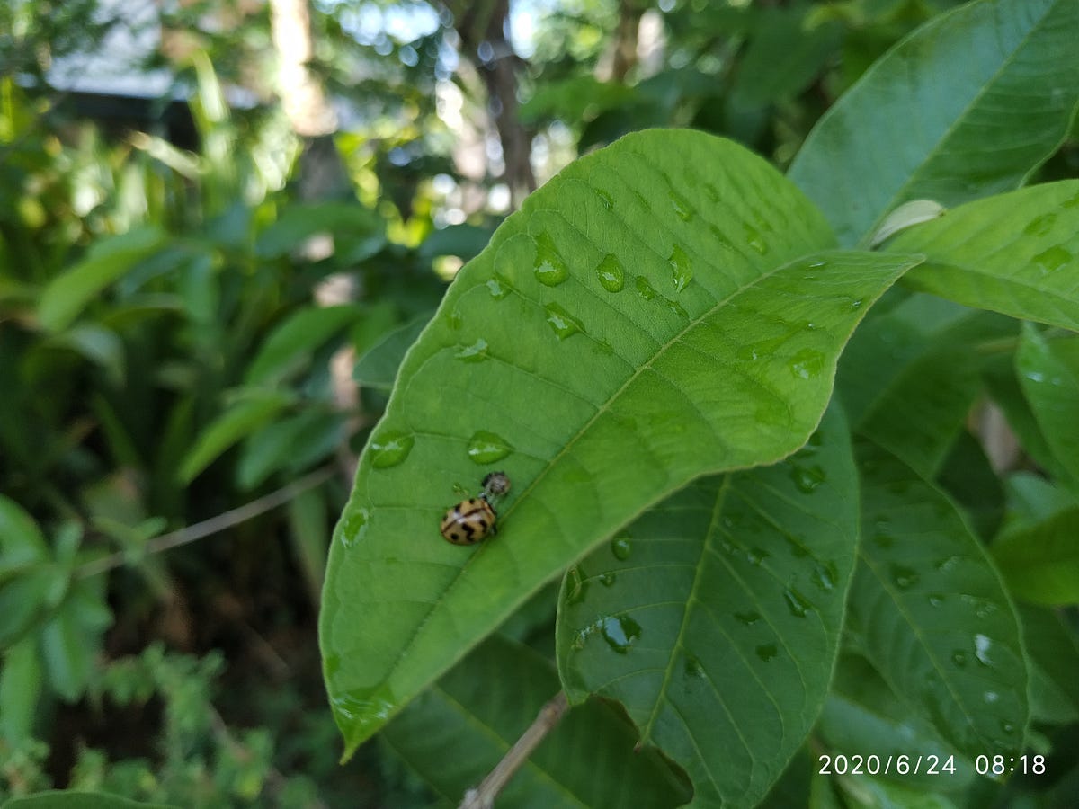 Tableau — Hyper API rescuer for complex RLS challenges | by ...