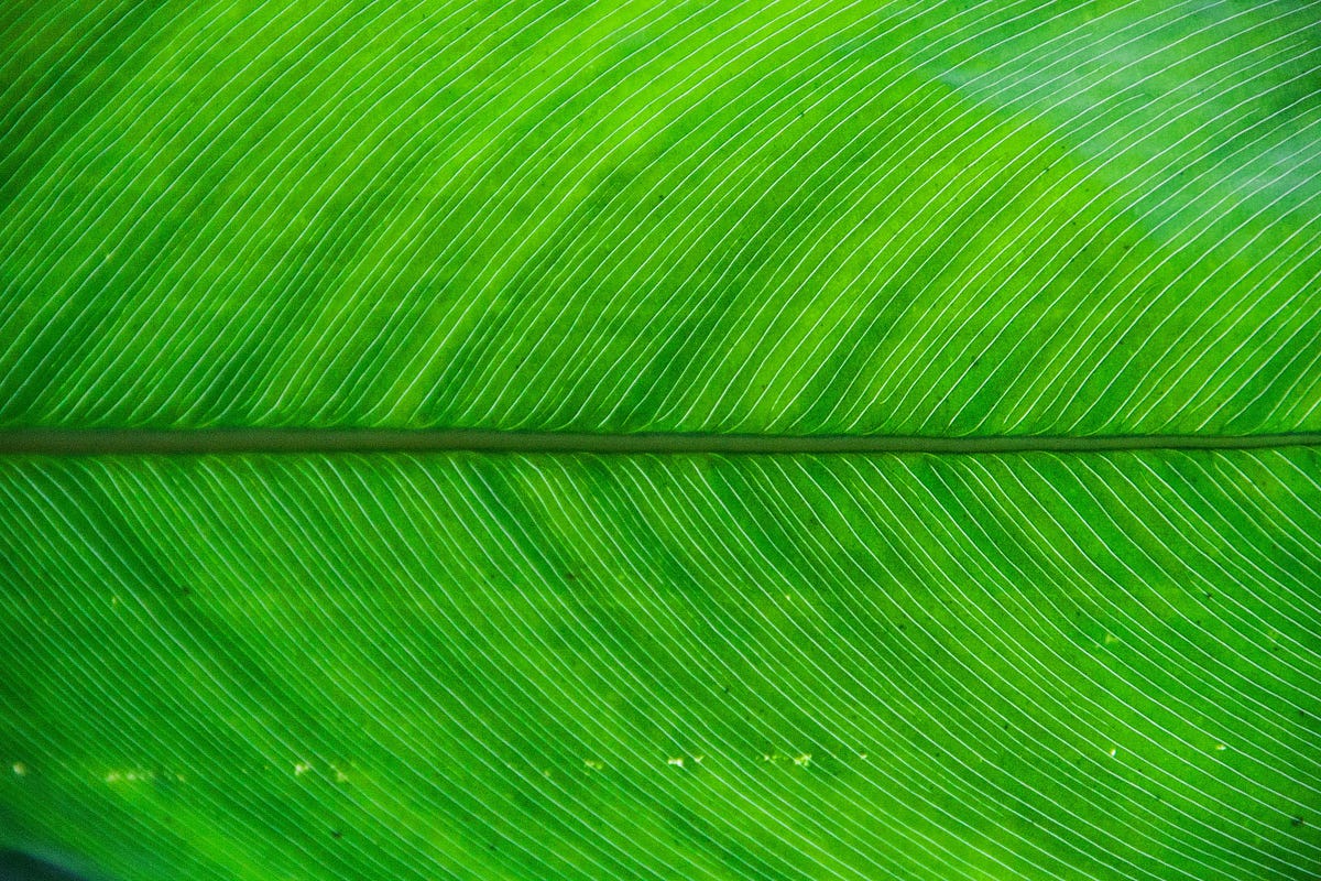 GreenDAO: Saving List In Dao Object Table | by ShahRukh | Medium