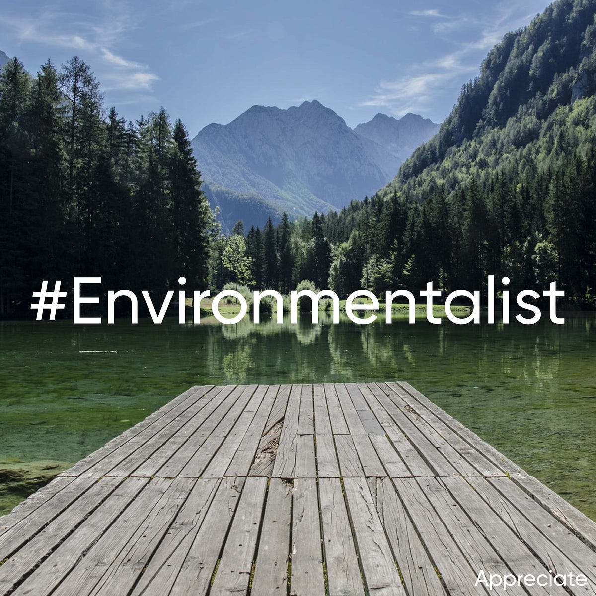 Are you an Environmentalist? This is for you. | by Robert Hester ...