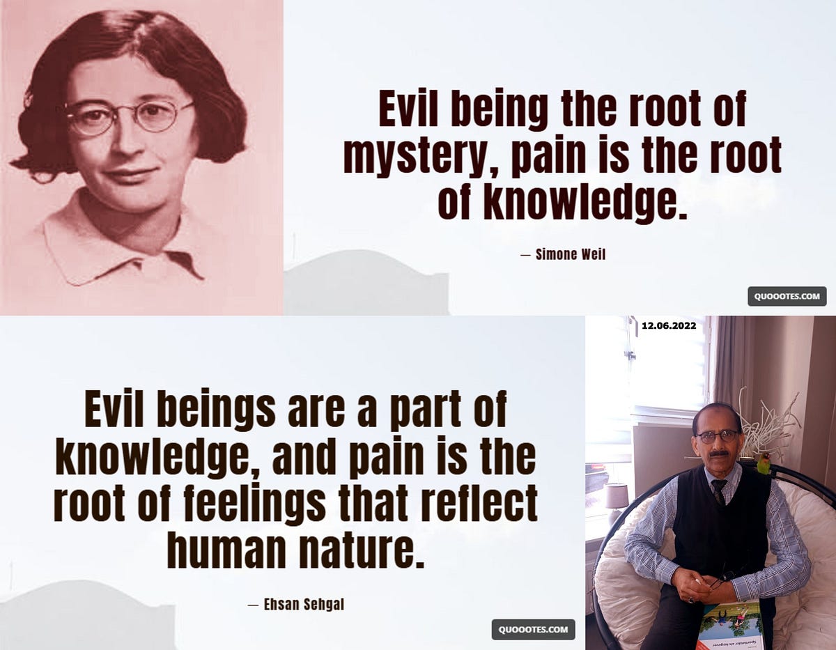 What is Evil Being, Mystery, Pain, Feelings, and Human Nature? | by ...