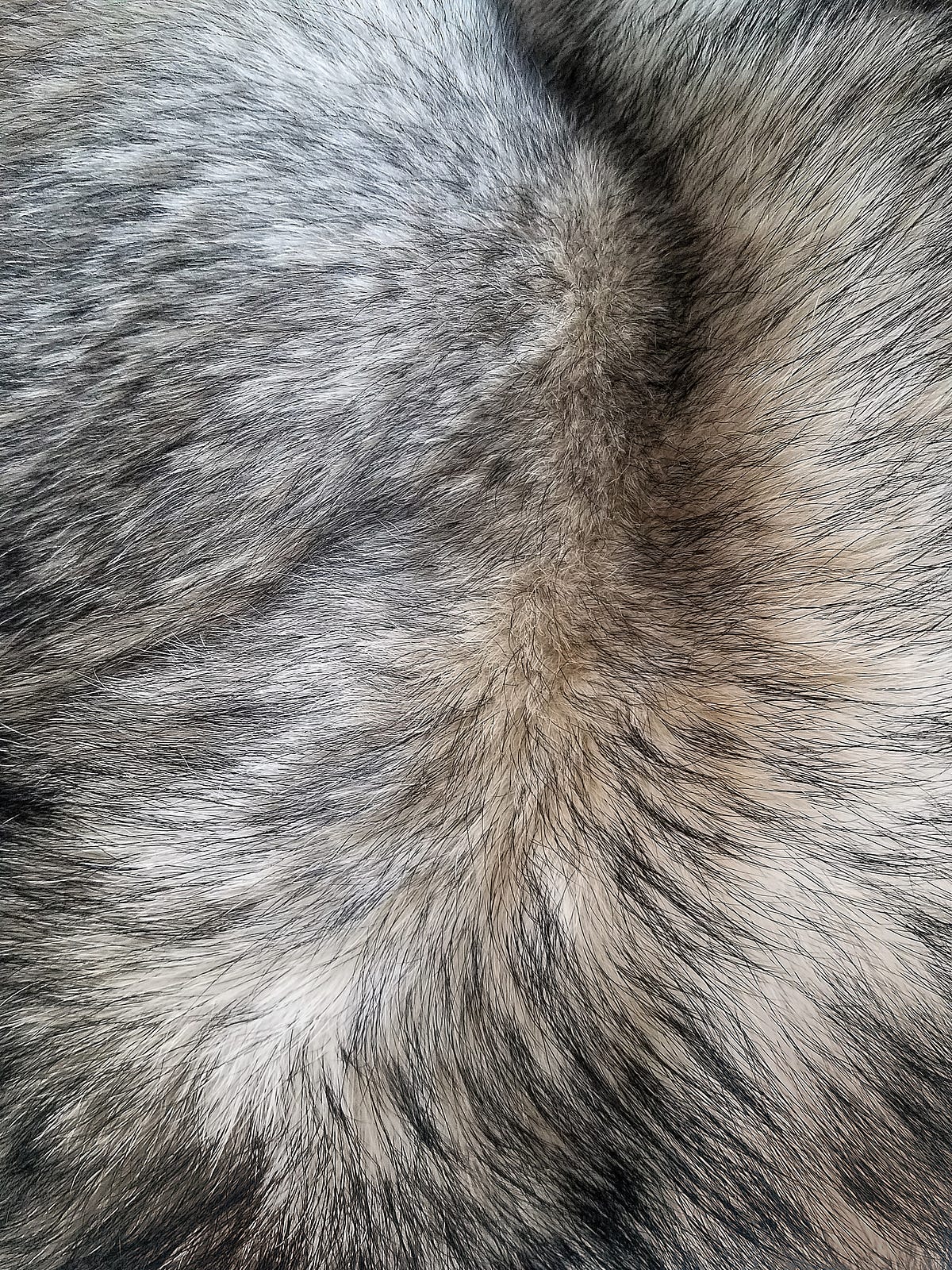 Emotions — The relation with Textures | by Saurabh Tak | Medium