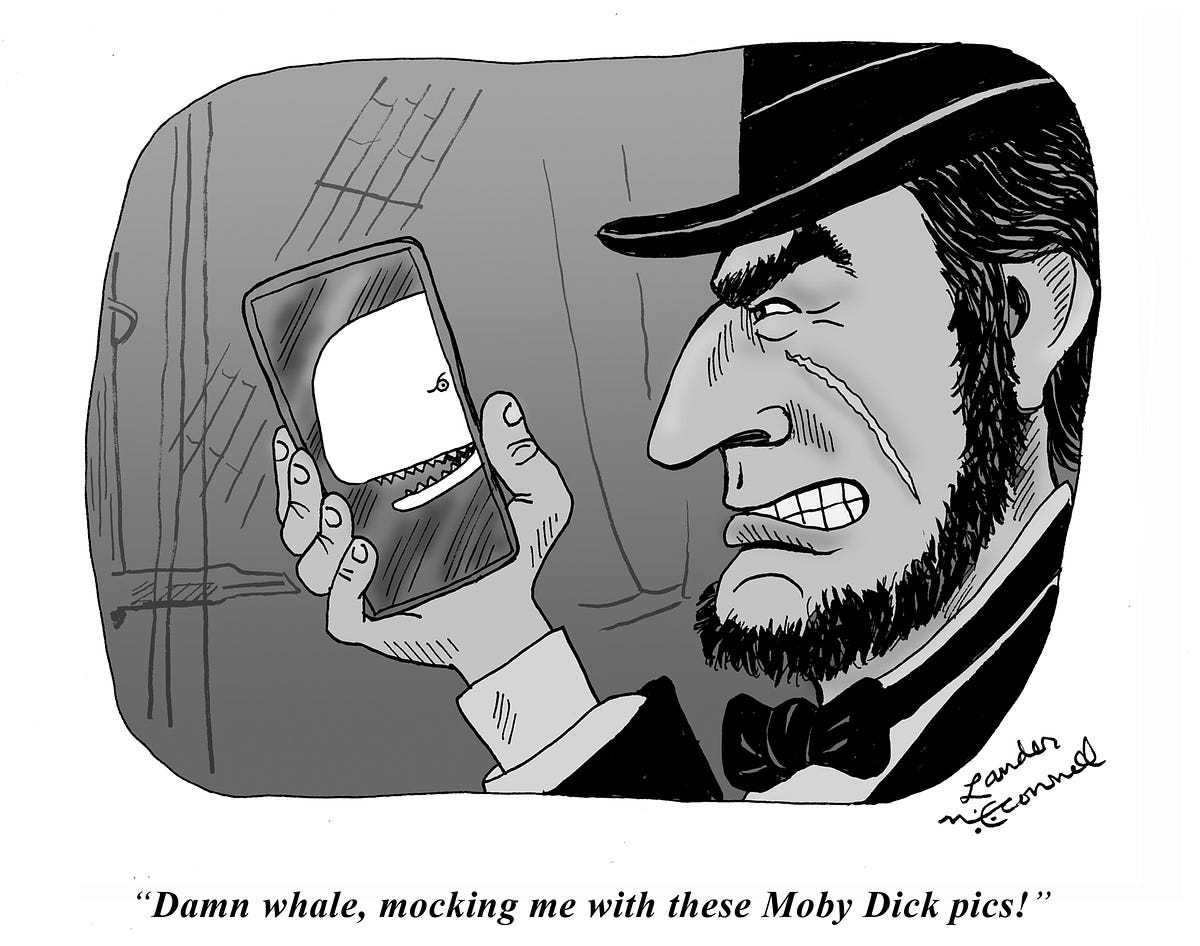 Moby Dick Pics. We’re gonna need a bigger camera lens | by Paul Lander ...
