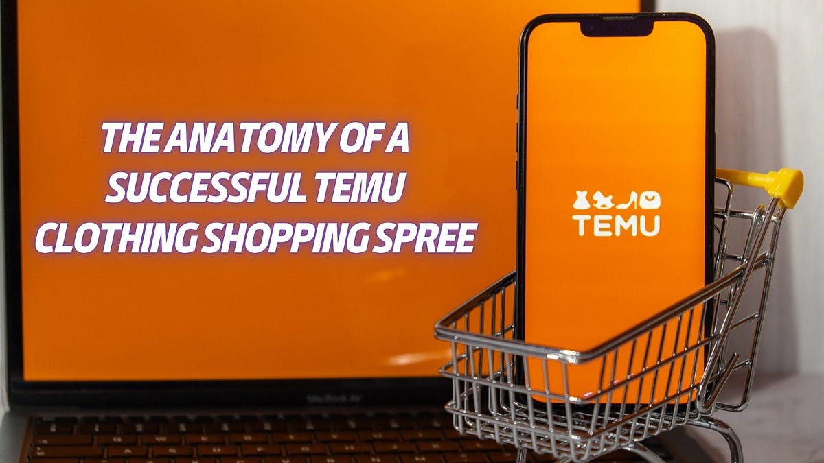 The Anatomy of a Successful Temu Clothing Shopping Spree | by Michael ...