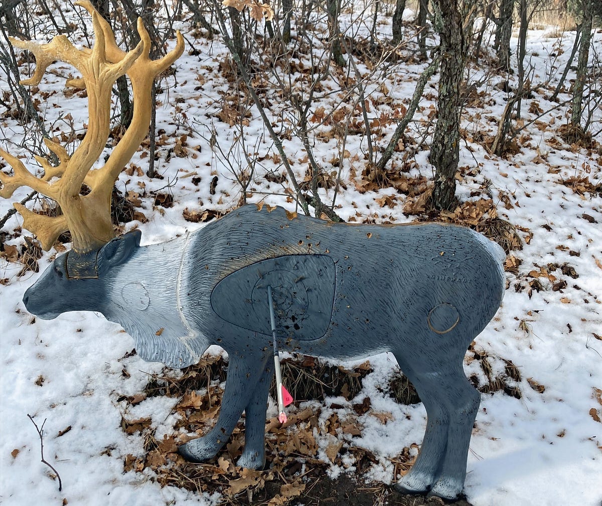 Healing Arrows: The Therapeutic Power of Archery for PTSD Relief | by ...
