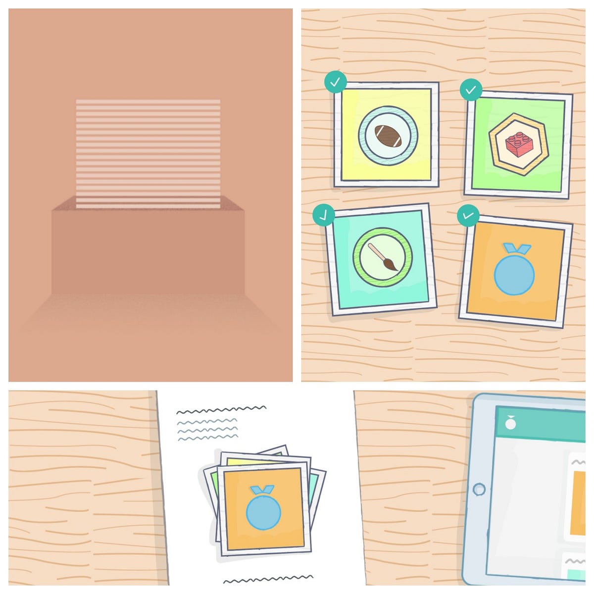The Evolution Of Portfolios. Have you ever wondered about the origin ...