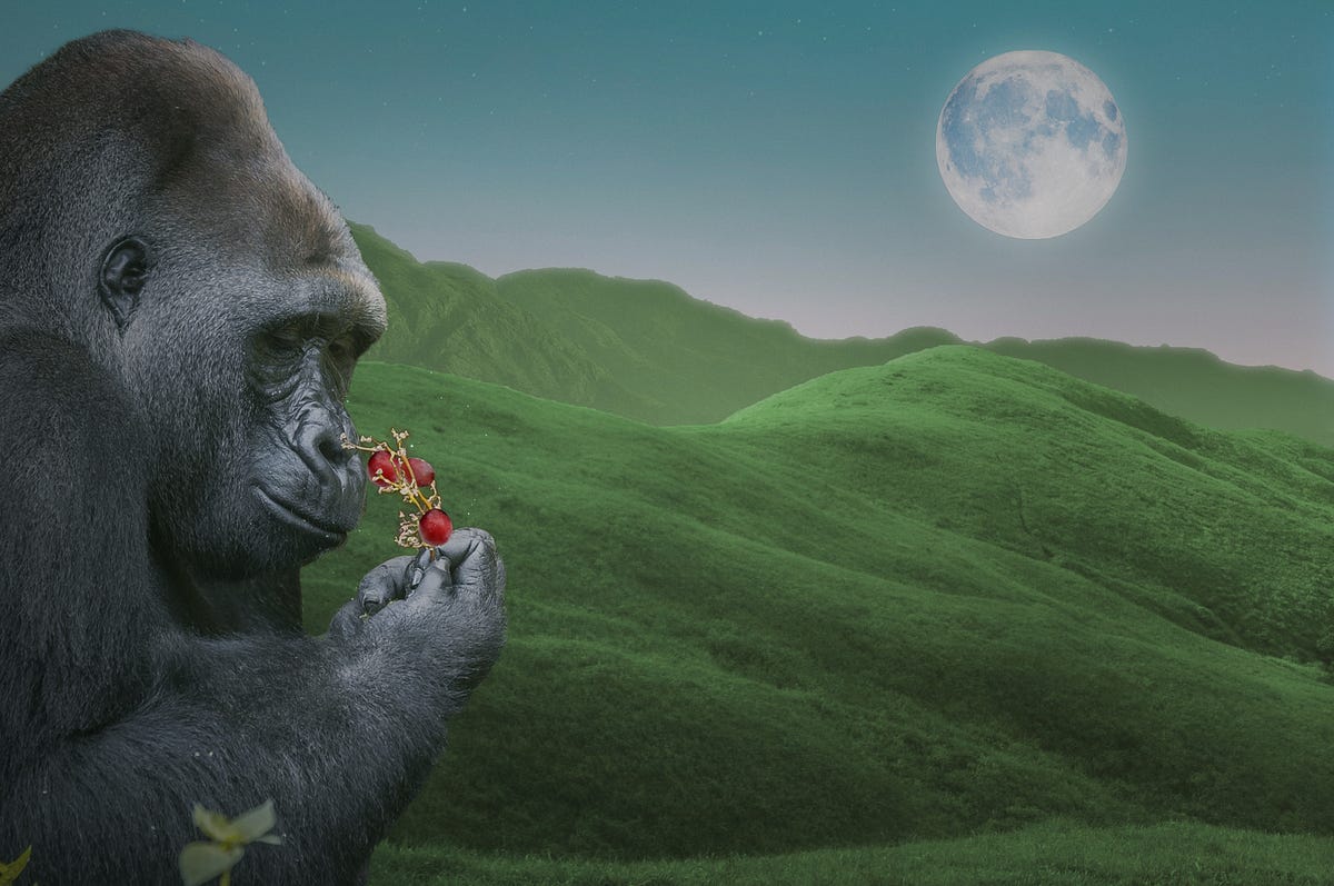 The Great Ape Rises | by Kon Skets | Grape Protocol — Great Ape ...