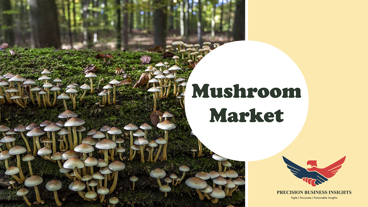 Mushroom Market Trends, Growth Analysis Forecast 2024 | by ...