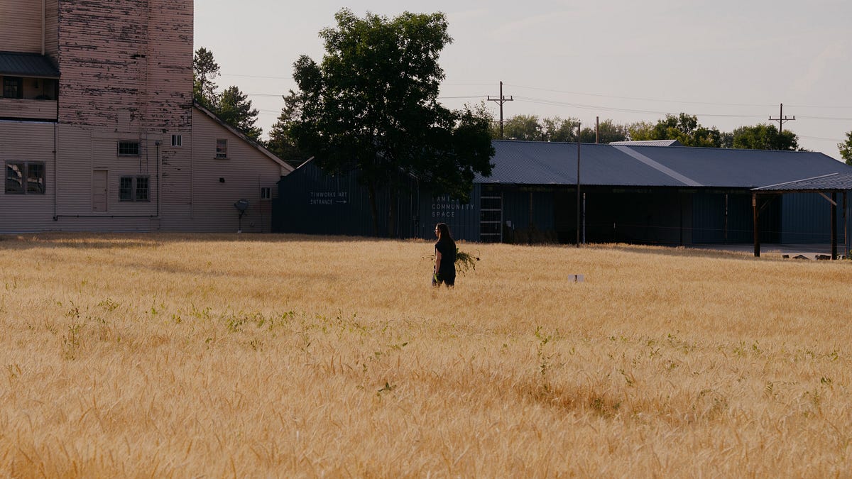 An Escape to False Freedom. Cashie’s family’s wheat farm | by Naila ...