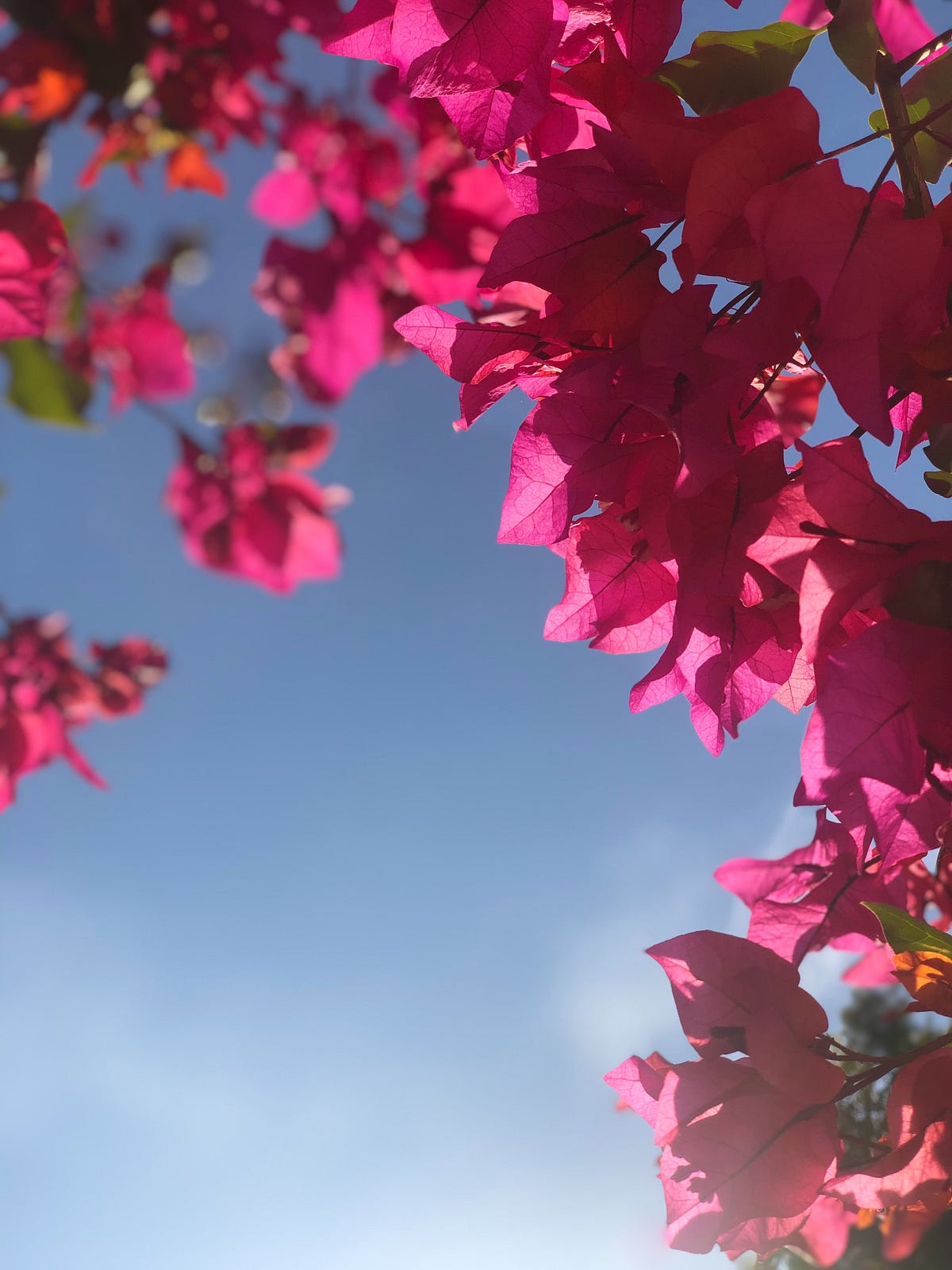5 simple ways to actively fight memory loss | by Meredith Schneider ...