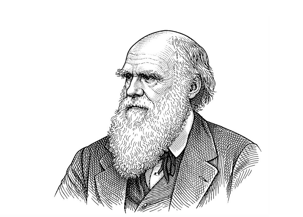 Charles Darwin and the Lost Art of Observation | by Mental Garden ...