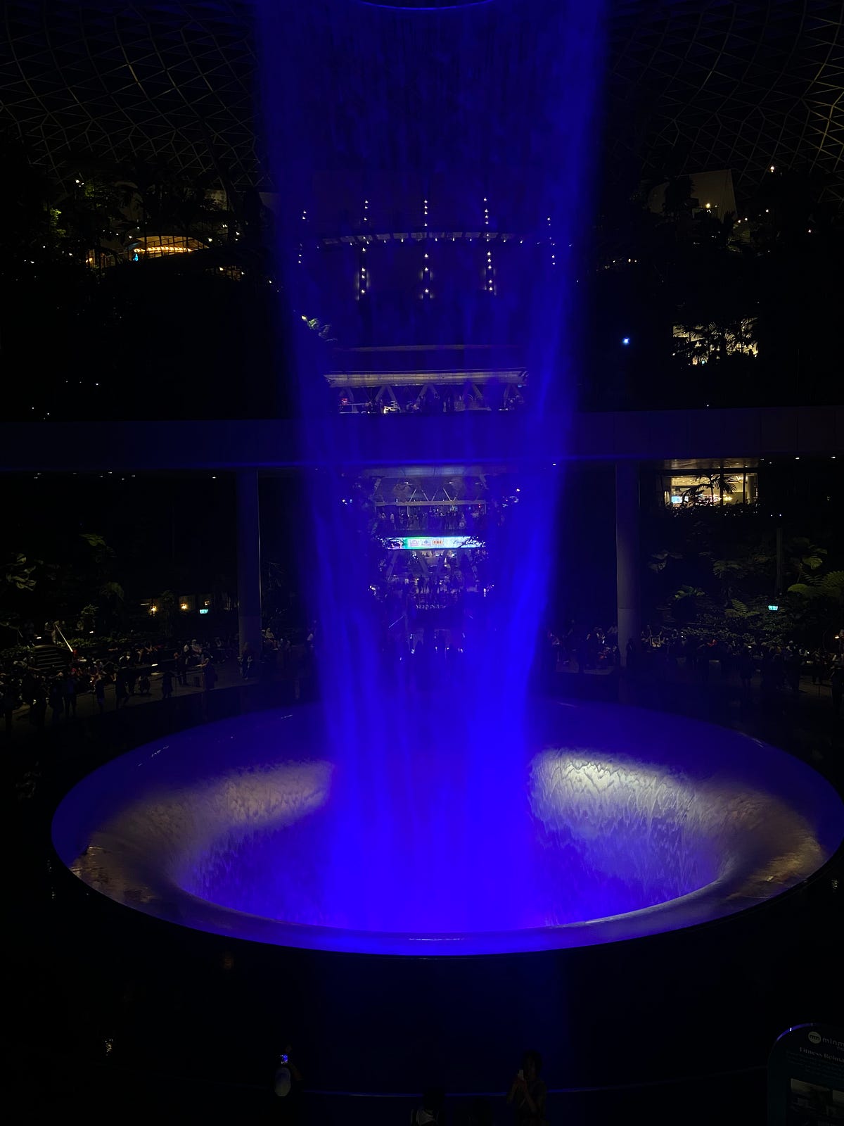 The cup theory | by Nurshazlina | Nov, 2024 | Medium