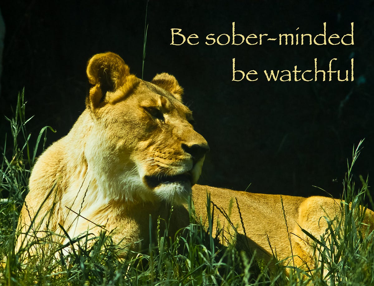 Be Careful!. “Be sober-minded; be watchful. Your… | by Reid Fowler | Medium