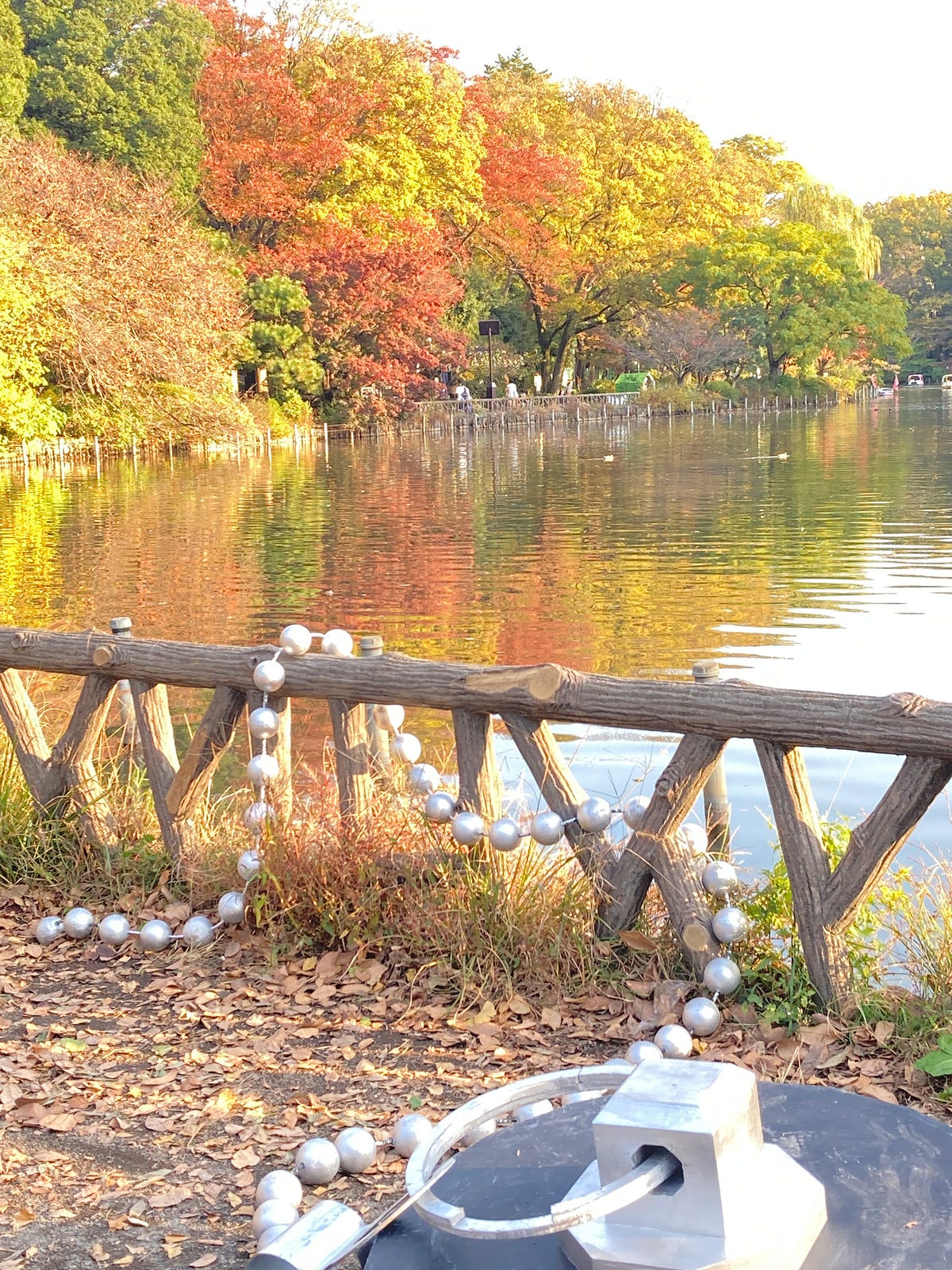 Giving Thanks: Thanks Living. Grateful you’re in my life | by Selma ...