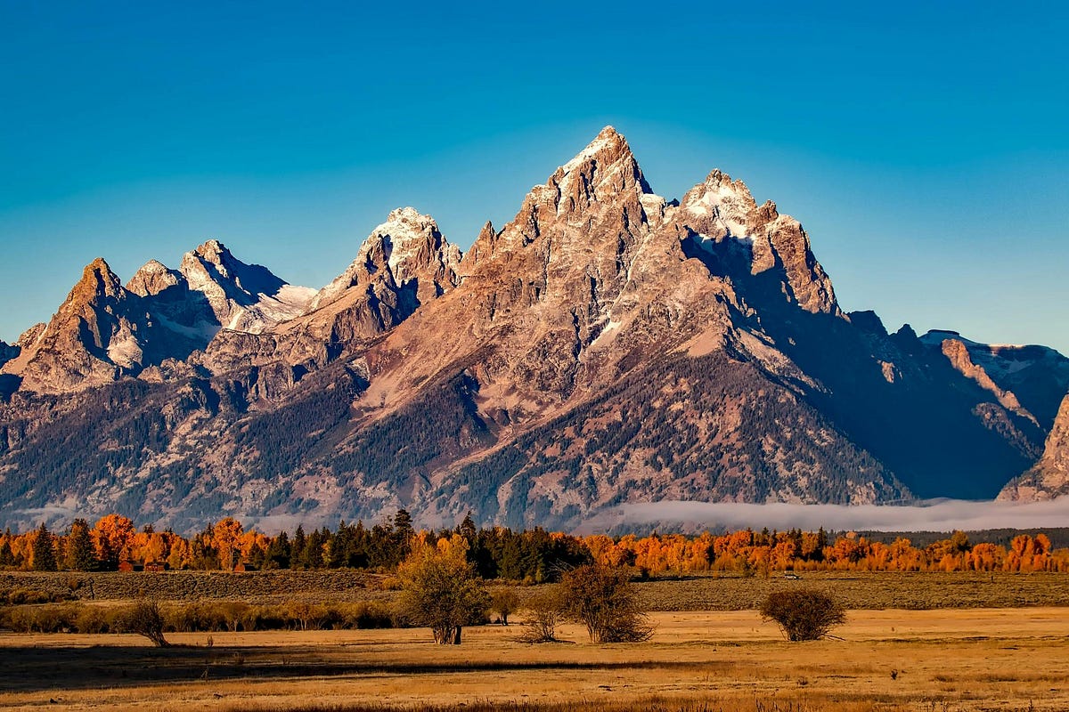 A Simple Guide to Gradient Ascent | by Mehul Chourasia | Beyond the ...