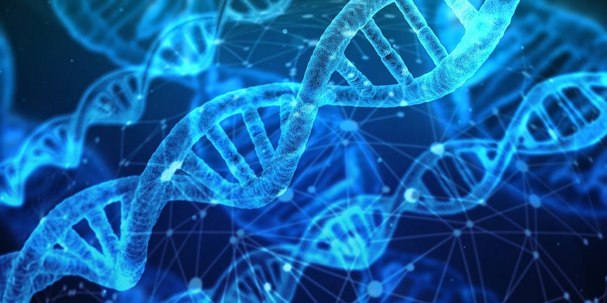 An Introduction to Genetic Algorithms: The Concept of Biological Evolution in Optimization | by ...