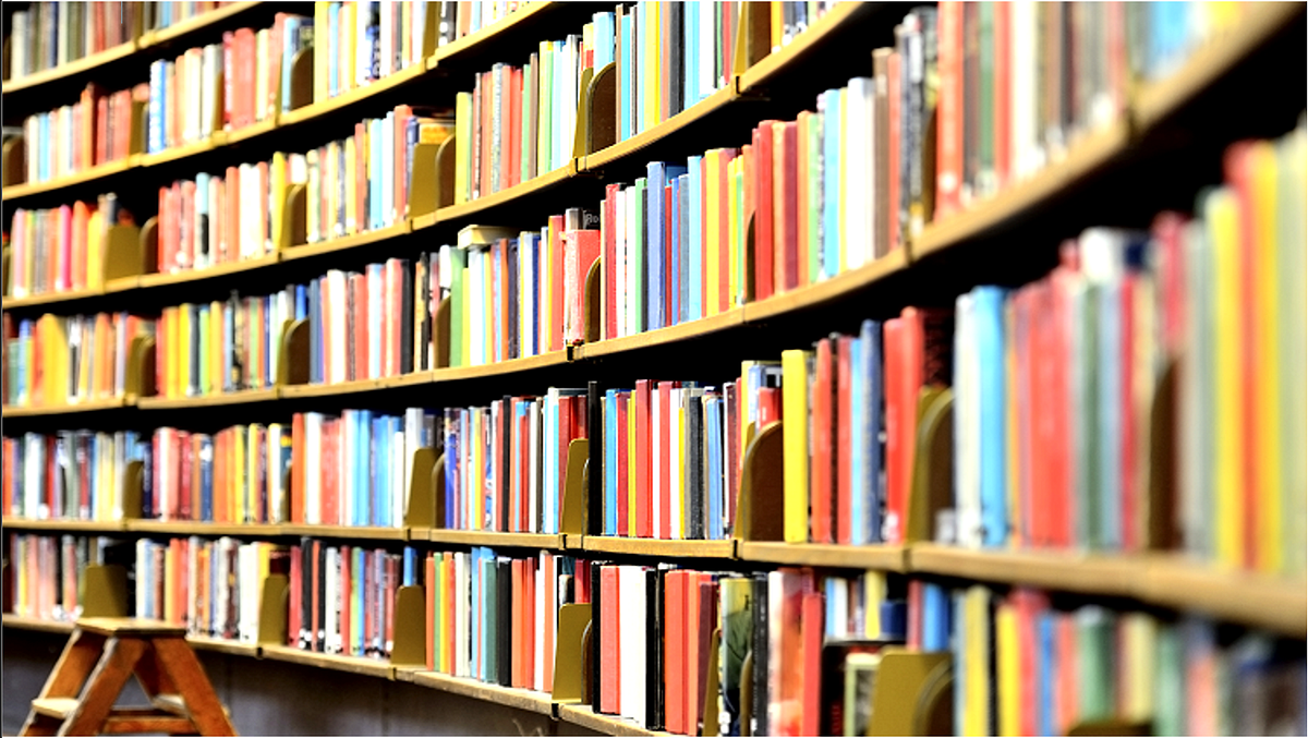 Semester One Book Reviews. The Sellout, Stasiland, The Hobbit, My… | by ...