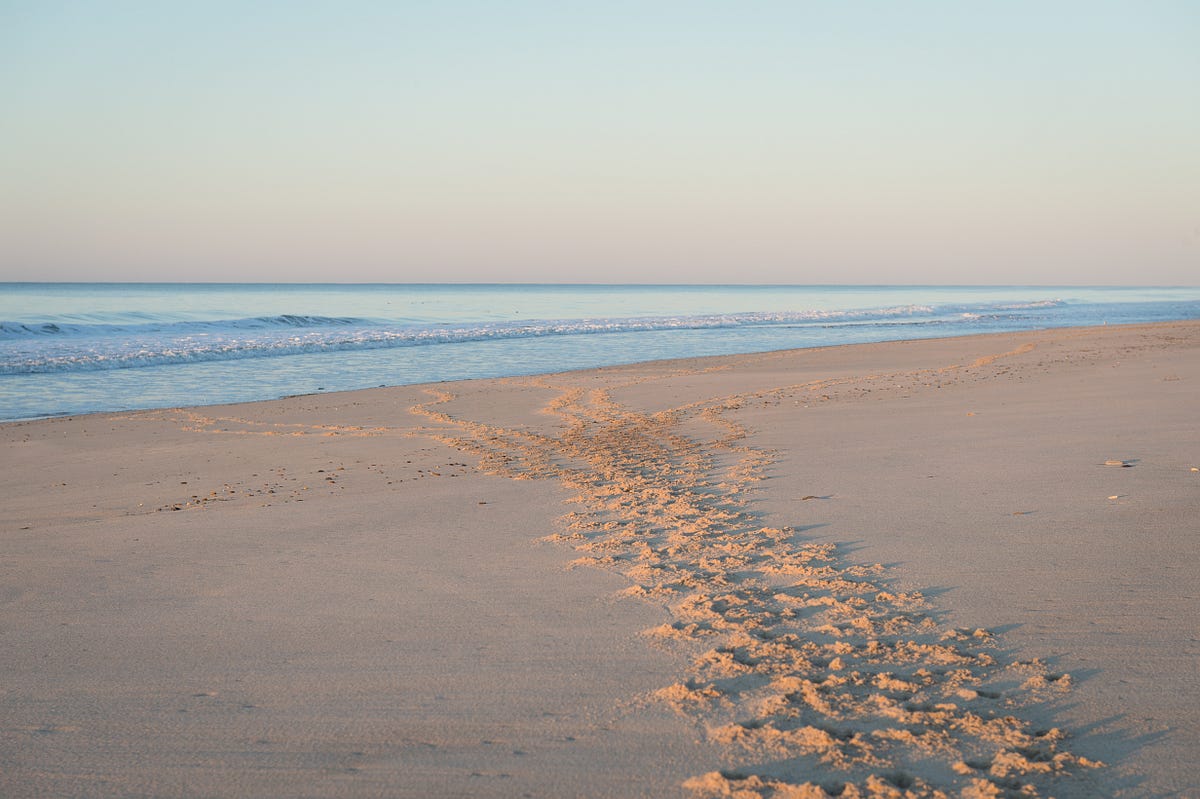Get Ready For Summer With Hotspots From The Hamptons To Cape Cod | by ...