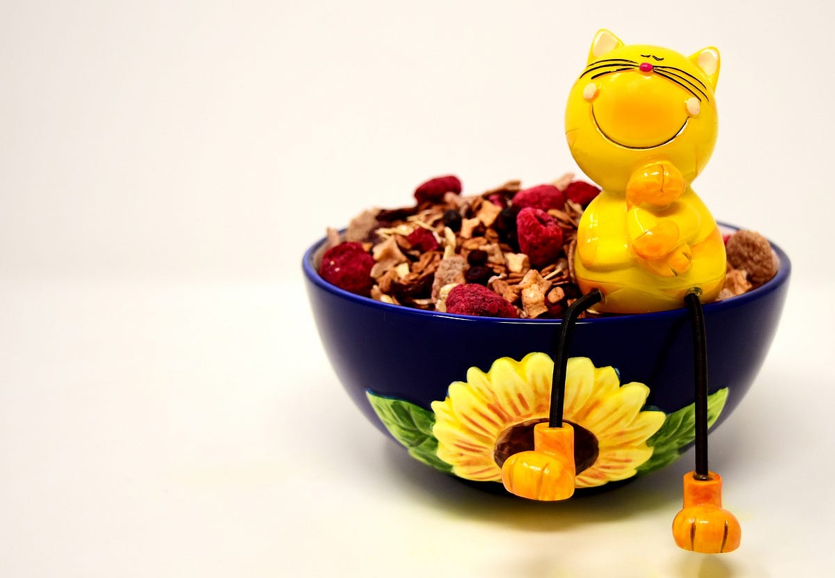HOW HELPING YOUR CAT STAY HEALTHY To keep your feline solid in a development of time, you ...