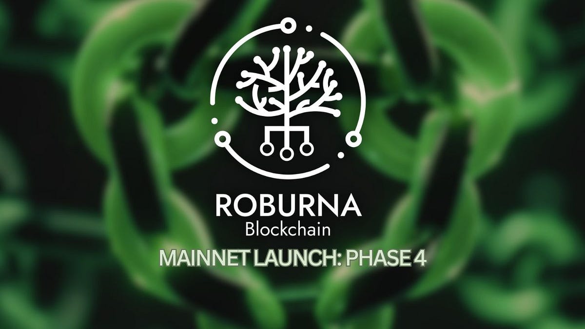 Roburna Mainnet Phase 4 Launch. Hello Roburna Fam | by Roburna Official | Jun, 2024 | Medium