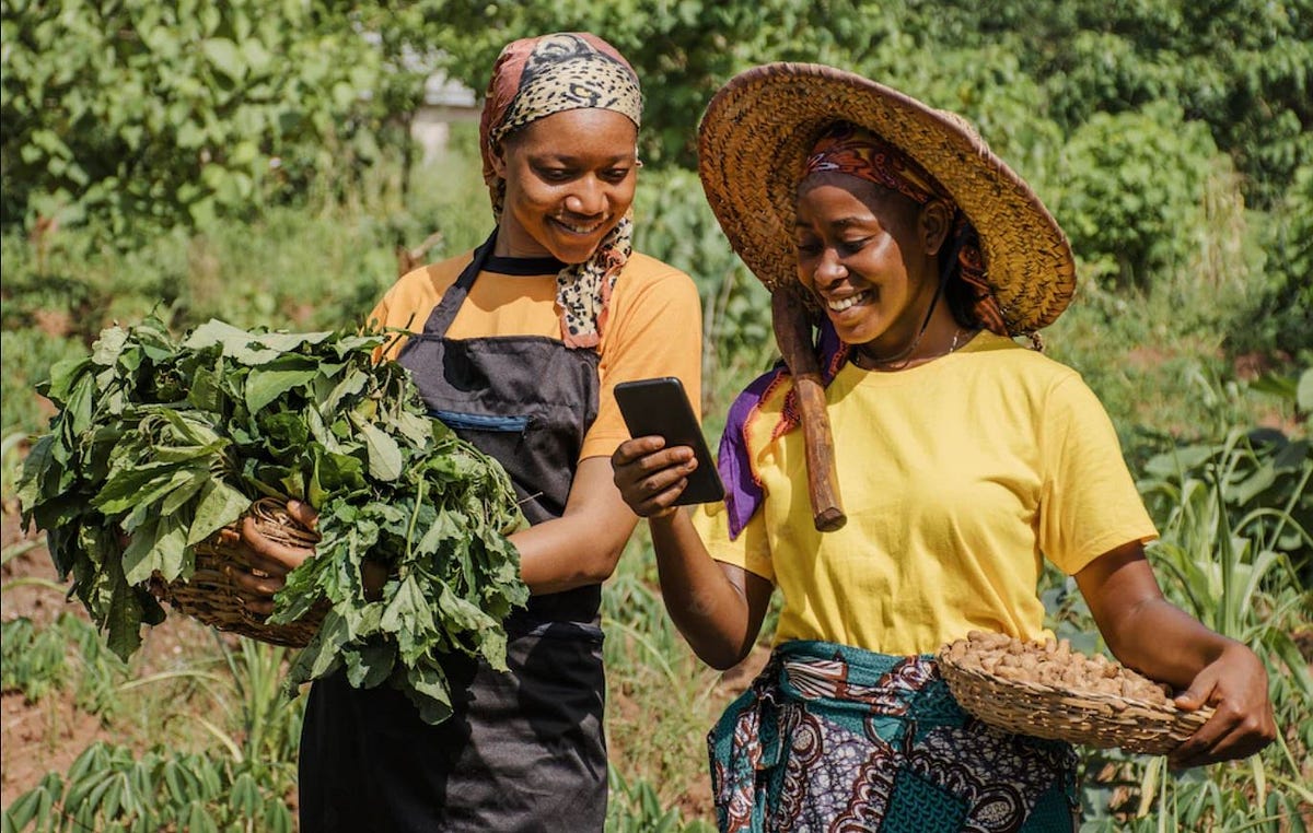 Why NGOs Must Adopt an Effective Data Strategy for Digital ...