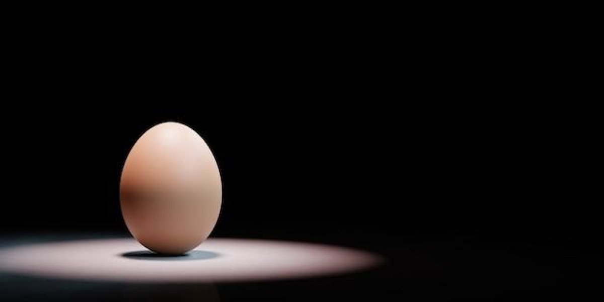 A Great Water Filter Starts With an Egg & UV Light | by Julia Duarte ...