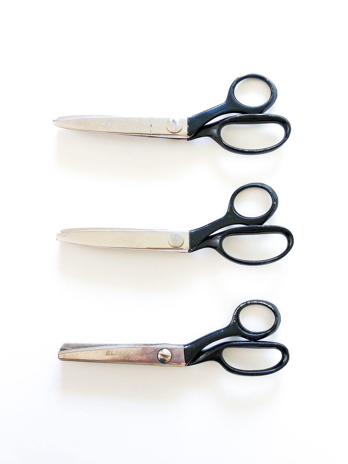Lizards With Scissors. A Poem | by Vic Spandrio | No Crime in Rhymin ...