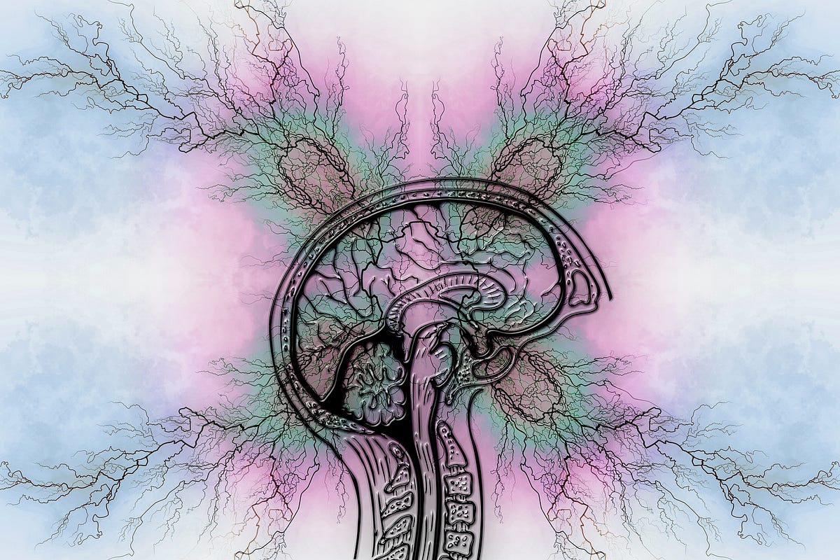 Neurons During Partial Seizure vs Generalized Seizure | by Parisa ...
