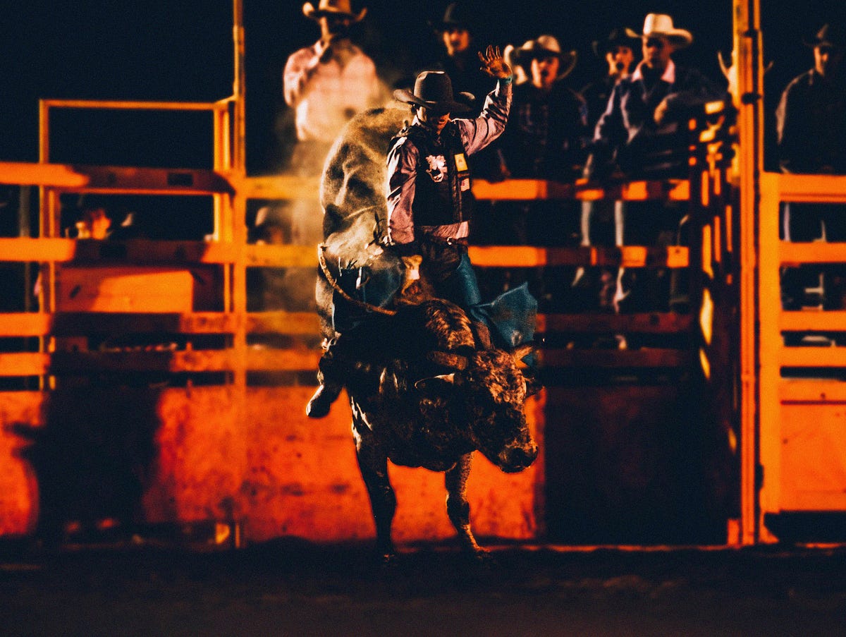 Death By Rodeo Part II. My name is Sunny Alexander. I’m Henry… | by P.G ...