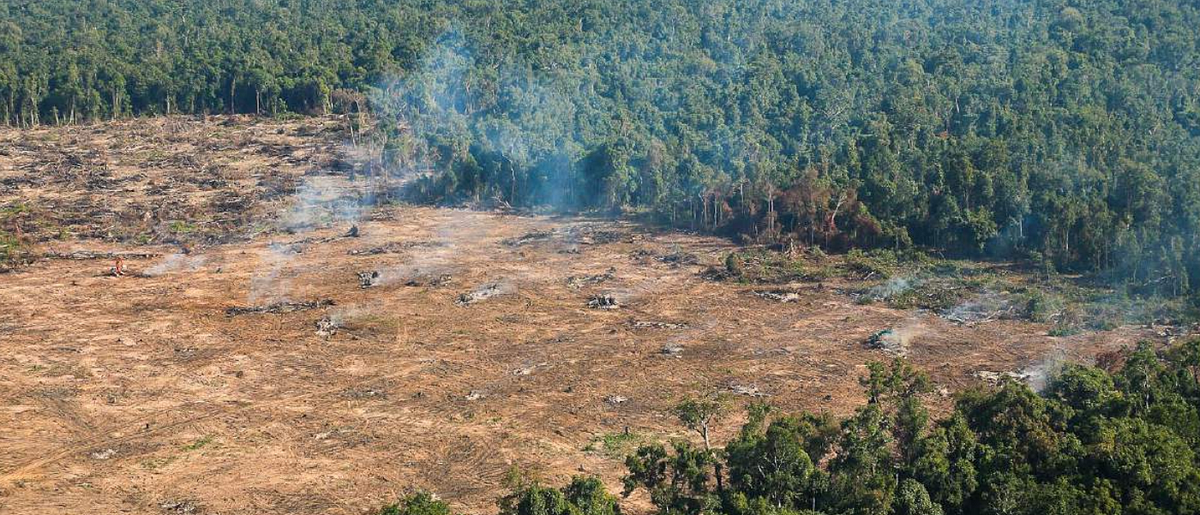 Giving land rights to communities stops deforestation. Here’s the ...