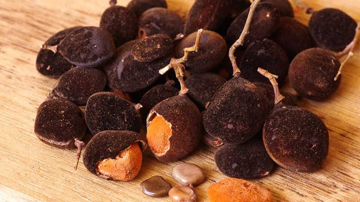 Unveiling the Mysteries of Black Velvet Tamarind Fruit | by Cherish ...