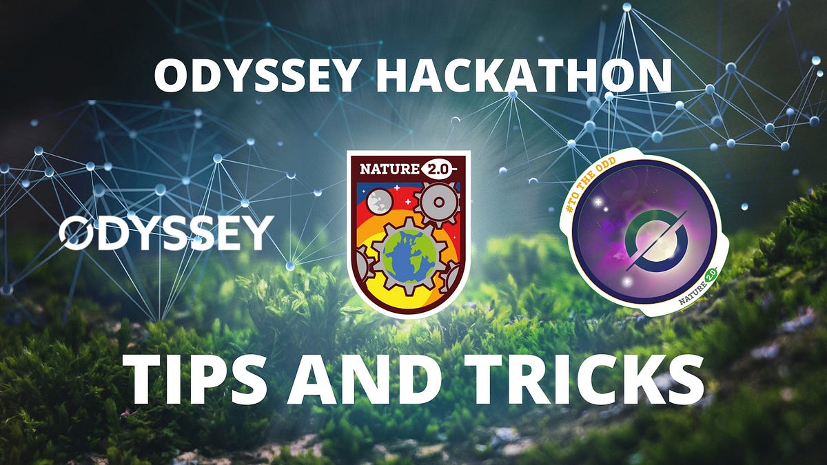 How to make the best of the Odyssey Hackathon — The Nature 2.0 Way | by Max Bouillon | Nature 2. ...