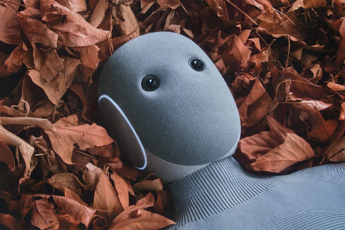 1X Tech’s Neo: The Promised Home Assistant… or a Work in Progress? | by ...