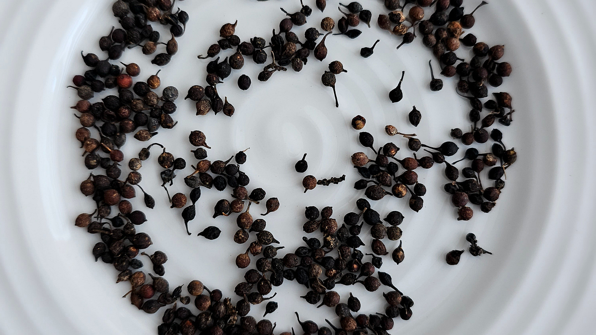 Likouala Pepper: A Flavorful Journey into Central African Cuisine | by ...