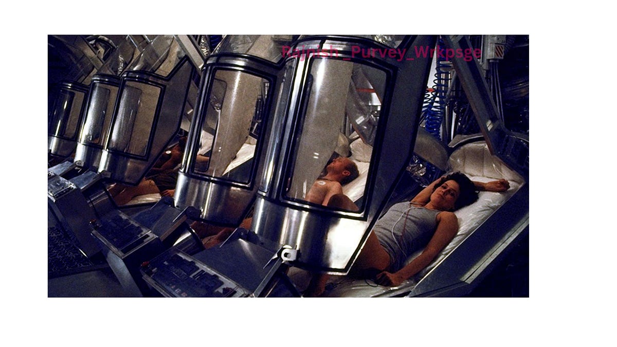 Exploring the Link Between Hibernation, Winter, and Human Longevity ...