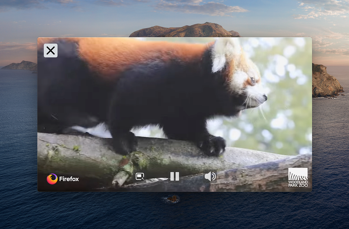 From a Feature to a Habit: Why are People Watching Videos in Picture-in ...