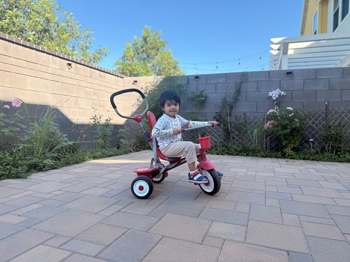 My Sunday Morning in the Garden. Saahil's perspective | by Dr. Seema ...