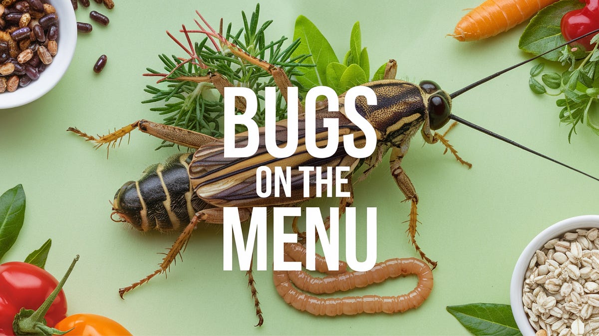 Bugs on the Menu. The Future of Food Meets the Simplicity… | by Mark ...