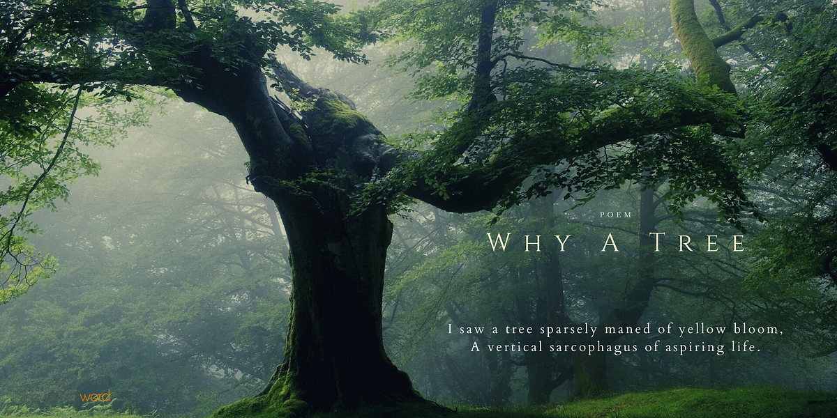 Why a Tree. Poem | by Murli R | Inevitable Word | Medium