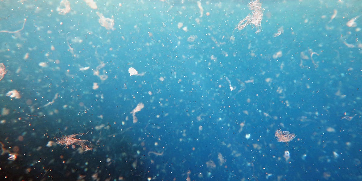 Dr. Richard Nahas Wonders if There Are Any Nanoplastics in Our Water ...
