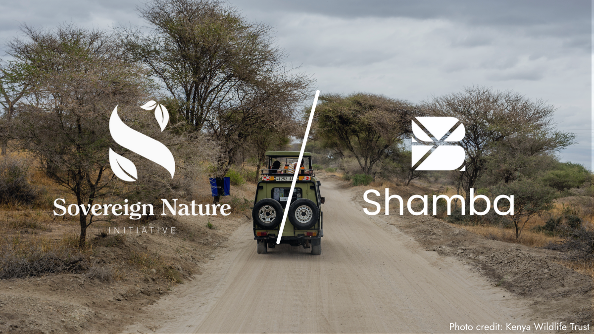 The role of satellite data and blockchains in the conservation of biodiversity | by Shamba ...