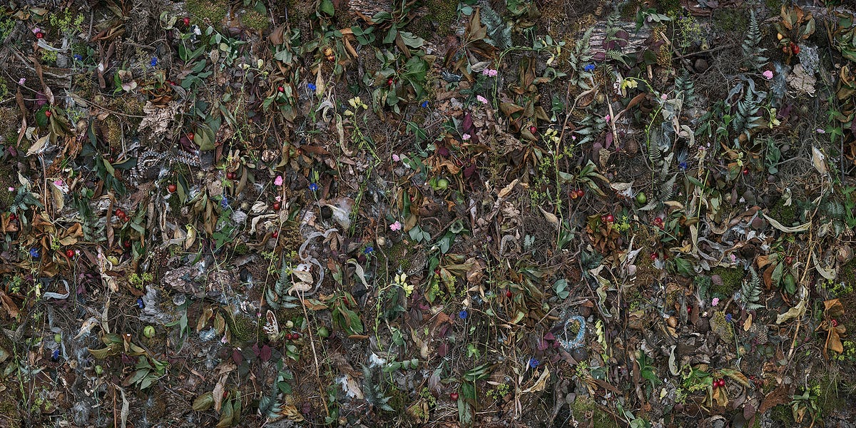 You Like It Half Dead: Tanya Marcuse at Julie Saul Gallery | by ...