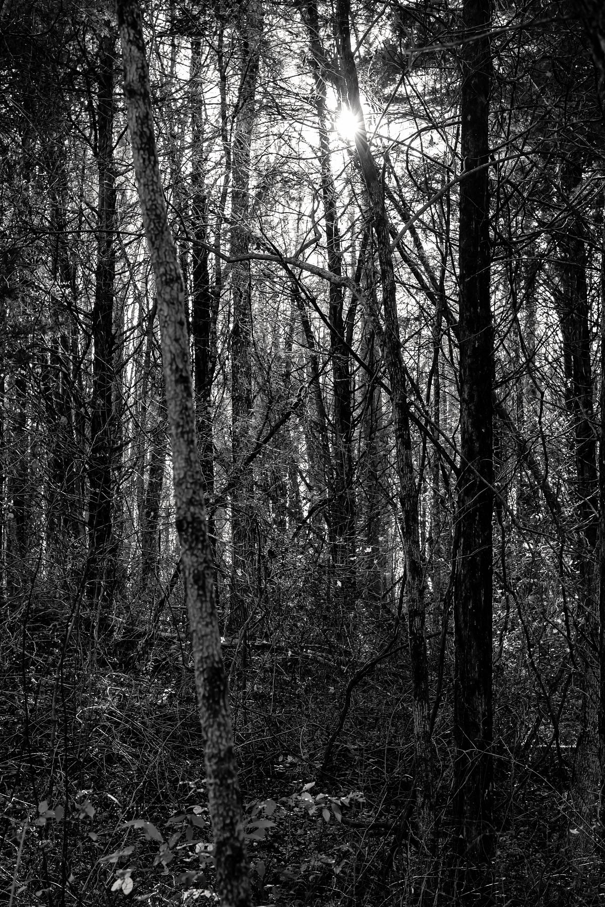 Internal struggle - Tim Bindner - Medium