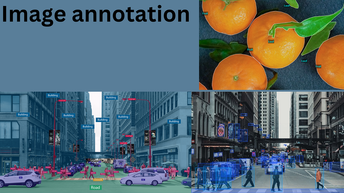What is image annotation in AI?. Explaining (likewise naming or… | by ...